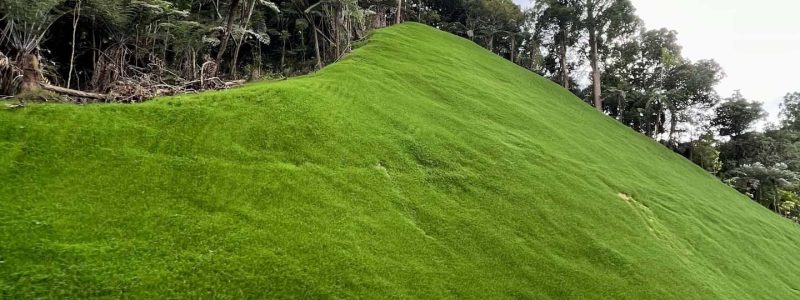 10 Best Native Plants for Erosion Control